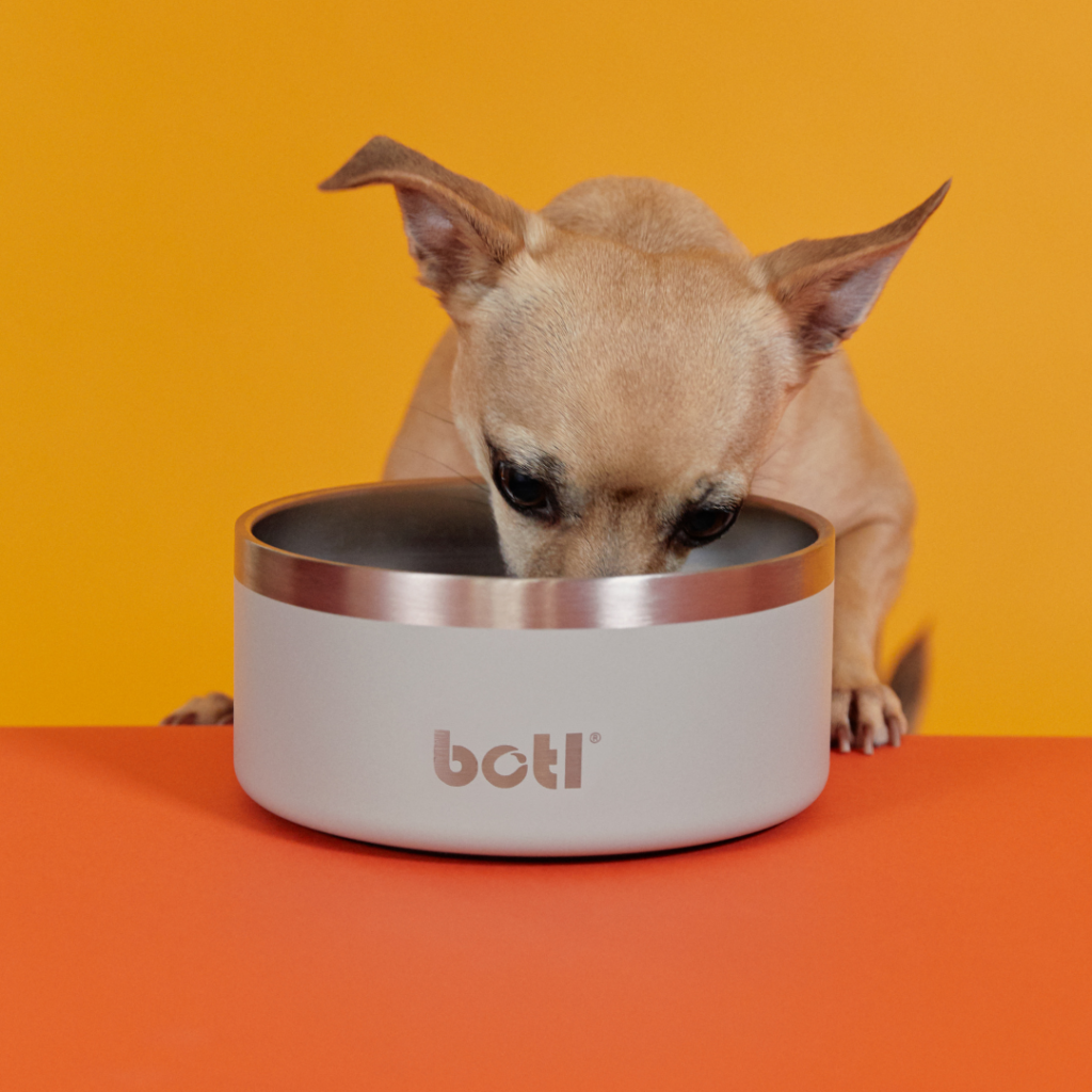 stainless steel pet bowl - non slip dog bowl